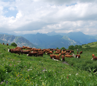 Valthoparc - Parking couvert payant Plein Sud P0 à Val Thorens - Les ...