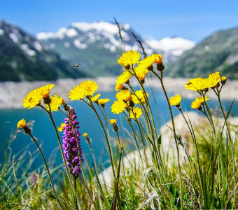 Valthoparc - Parking couvert payant Plein Sud P0 à Val Thorens - Les ...
